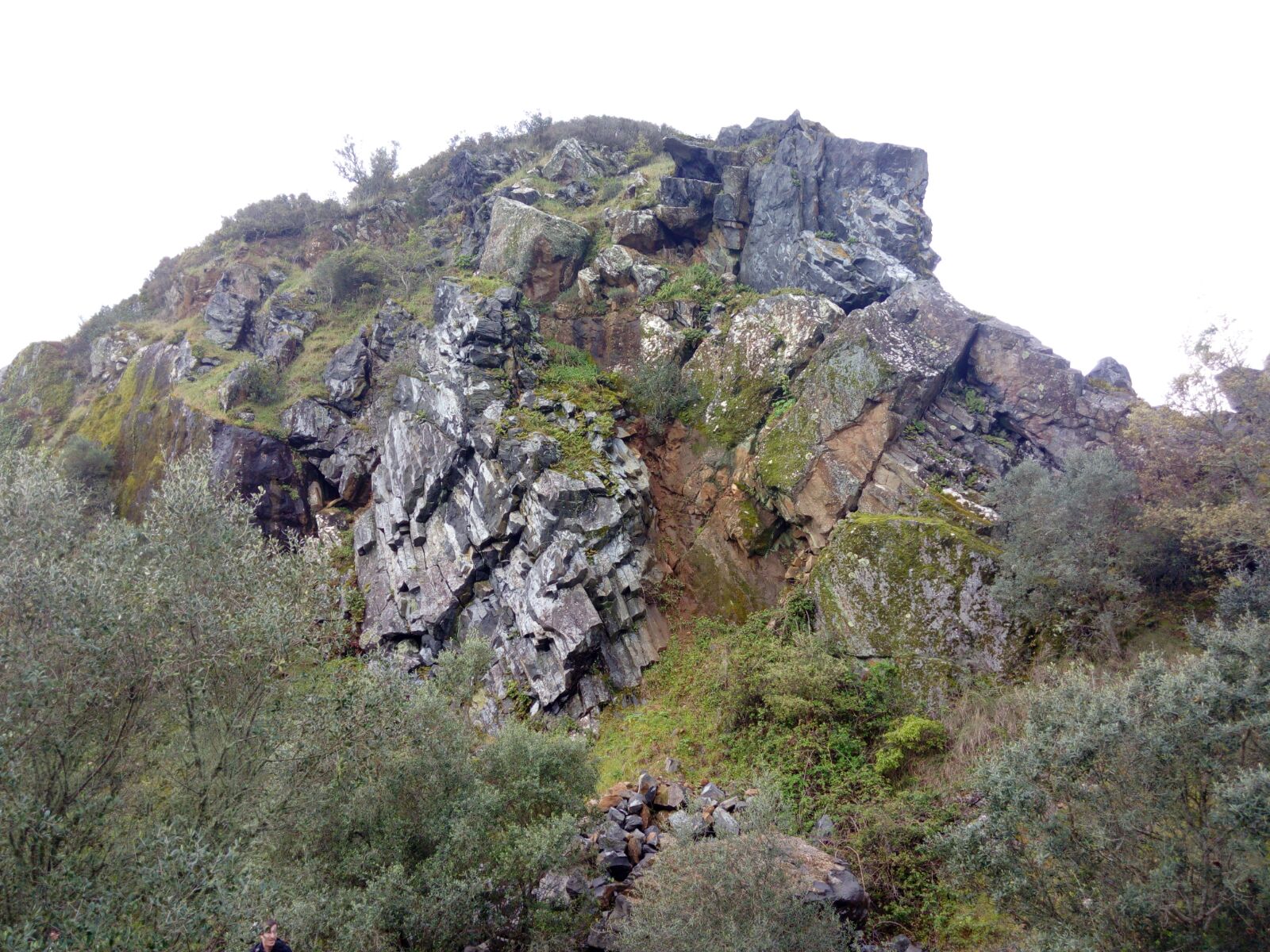 A Paisagem do Penedo do Lexim - Jovens Repórteres para o Ambiente