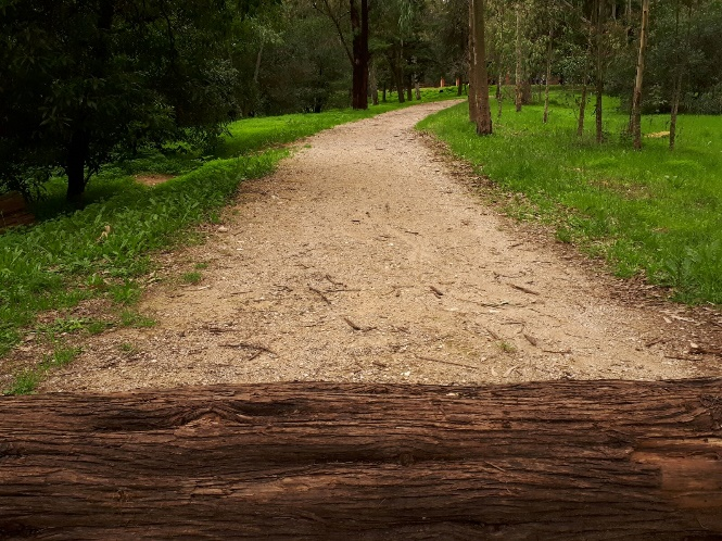 Monsanto Forest Park – Where Nature Meets the City - Jovens Repórteres ...