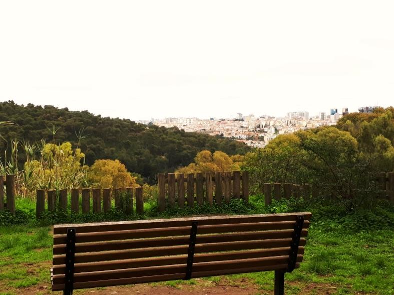Monsanto Forest Park – Where Nature Meets the City - Jovens Repórteres ...