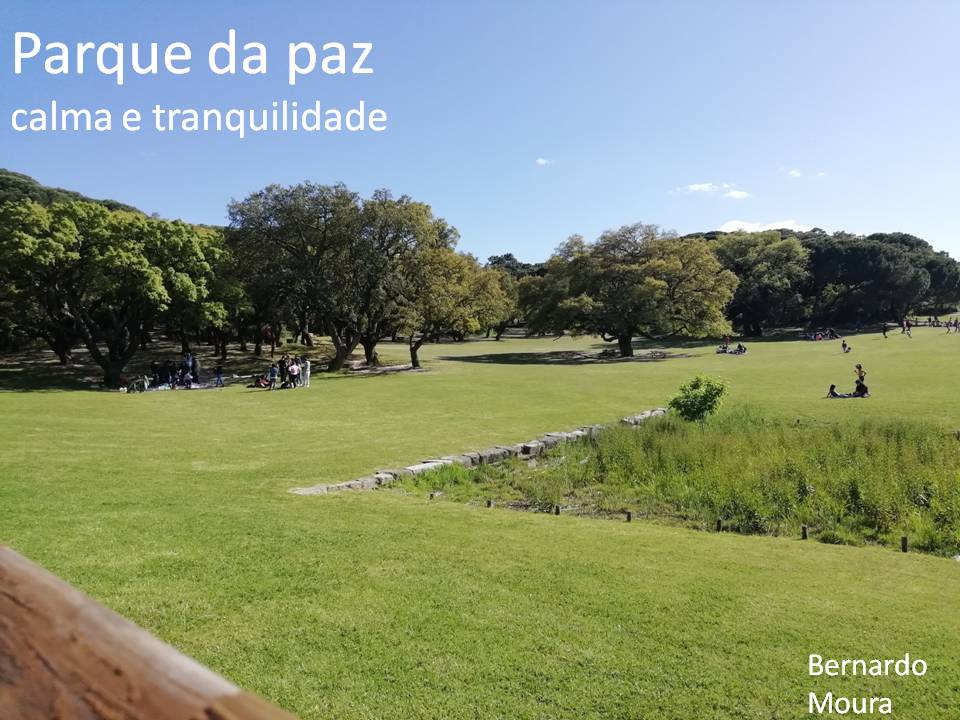 Parque da Paz - Jovens Repórteres para o Ambiente