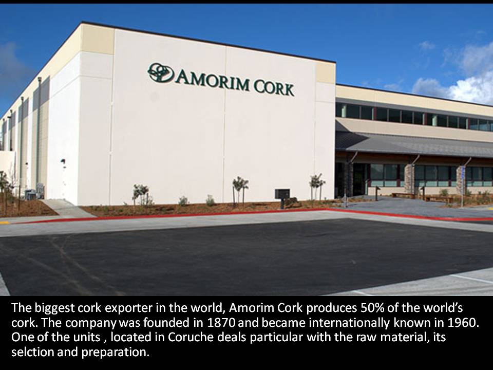 Behind the giant of cork in the world - Jovens Repórteres para o Ambiente