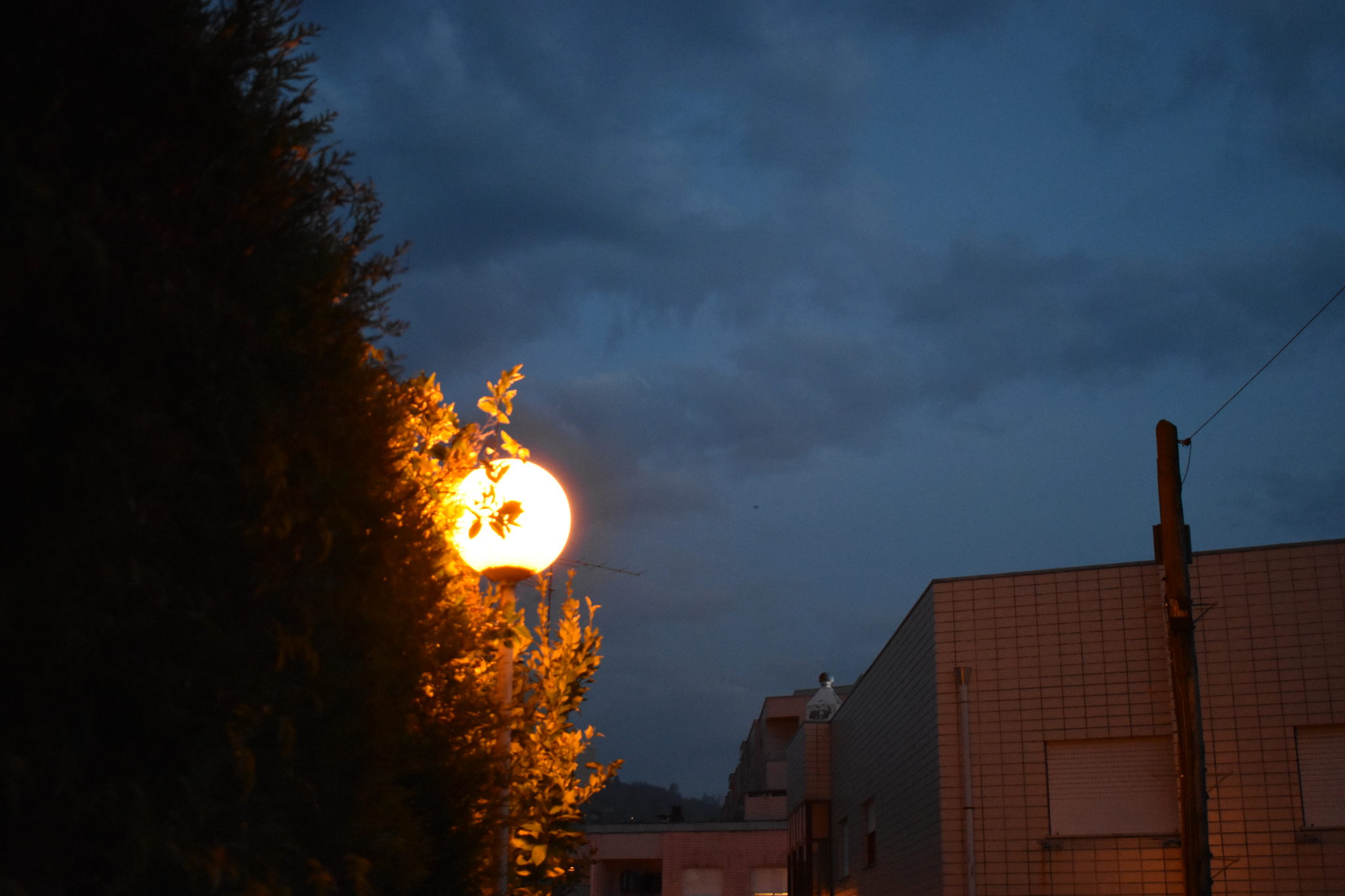 Dark Skies Rangers- Em busca das estrelas perdidas - Jovens Repórteres ...