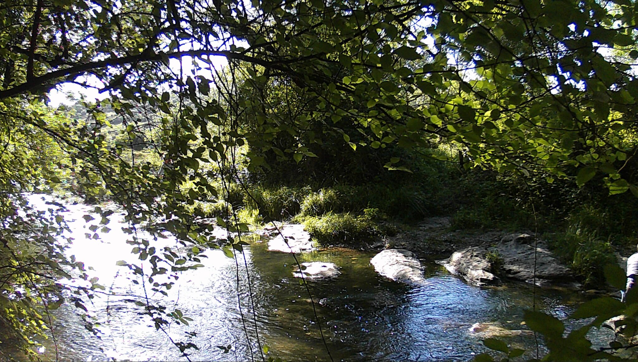 Um passeio na Ribeira da Cabrela - Dia Nacional da Água - Jovens ...