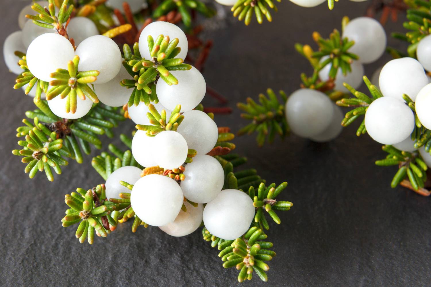 Camarinhas VS Marinhais - Jovens Repórteres para o Ambiente